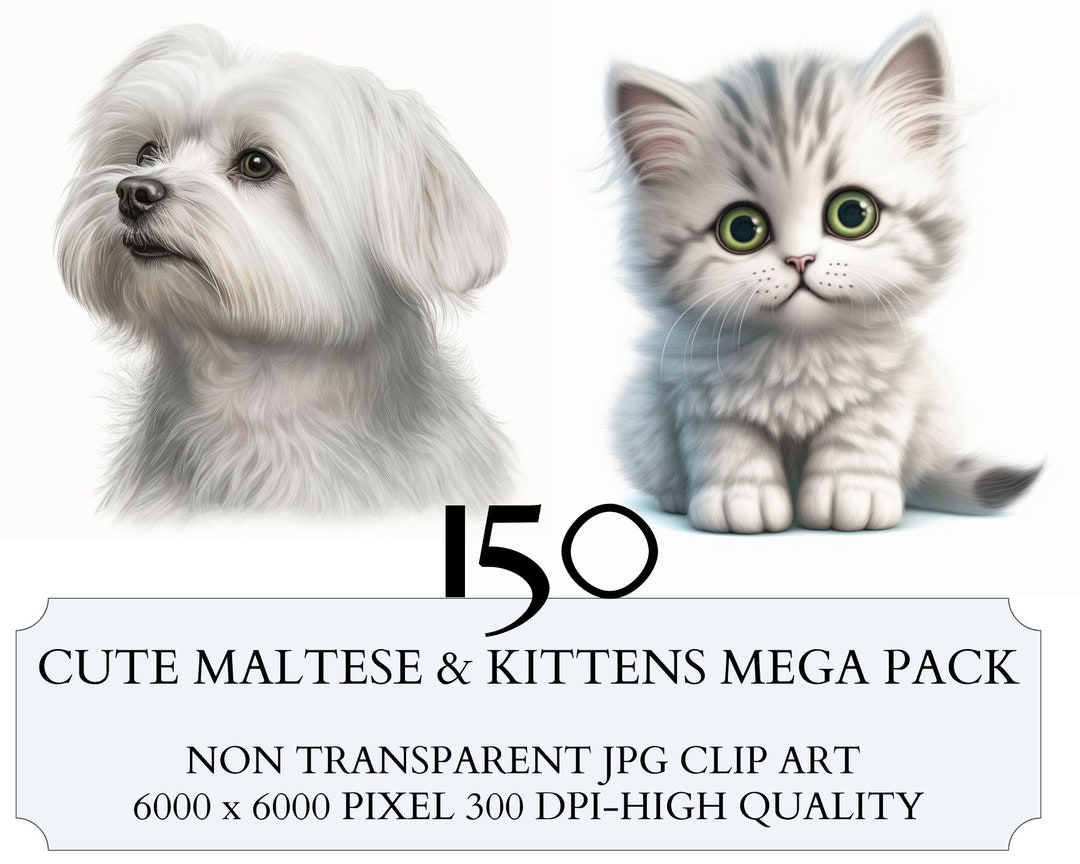 150 Cute Kittens and Maltese Mega Pack Clipart | JPG | Full Commercial ...