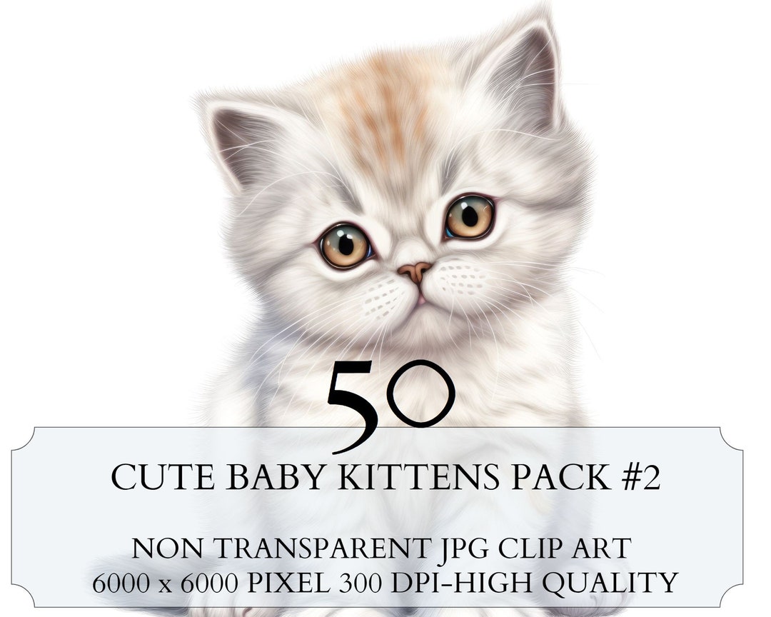 50 Cute Baby Kittens Pack #2 Clipart | JPG | Full Commercial Use ...