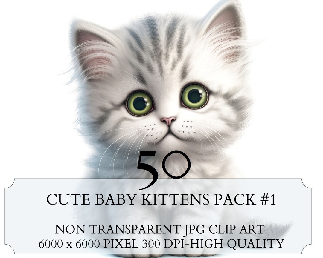 50 Cute Baby Kittens Pack Clipart #1 | JPG | Full Commercial Use ...