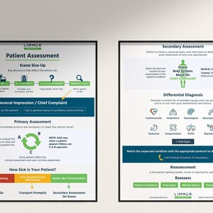 Patient Assessment Flow Chart EMT Classroom Poster Set - Etsy