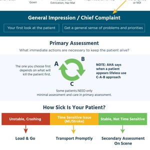 Patient Assessment Flow Chart EMT Classroom Poster Set - Etsy