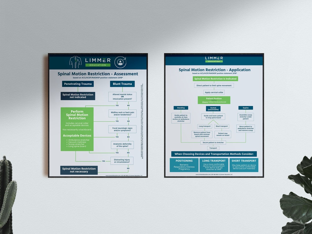Spinal Motion Restriction Flow Chart EMT Classroom Poster Set - Etsy