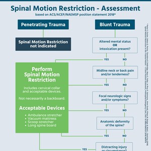 Spinal Motion Restriction Flow Chart EMT Classroom Poster Set - Etsy