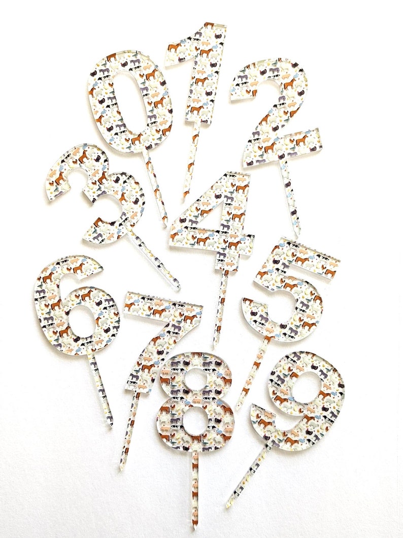 Farm Animal Fun! Delightful Single Number Cake Topper | Celebrate Baby ...