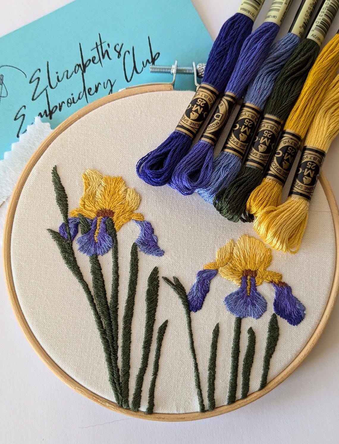 KIT: Beginner Embroidery - Iris - Etsy