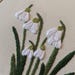 KIT: Beginner Embroidery - Snowdrop - Etsy UK