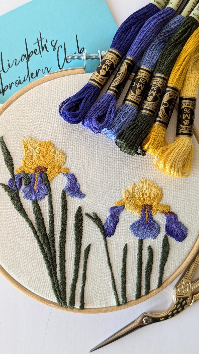 KIT: Beginner Embroidery - Iris - Etsy