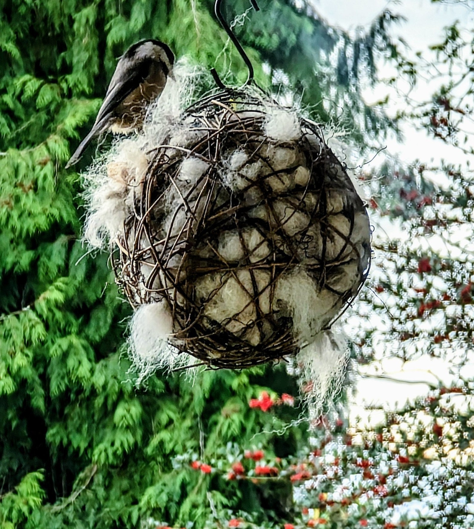 Bird Nest Ball 6" Outdoor Decoration - Etsy