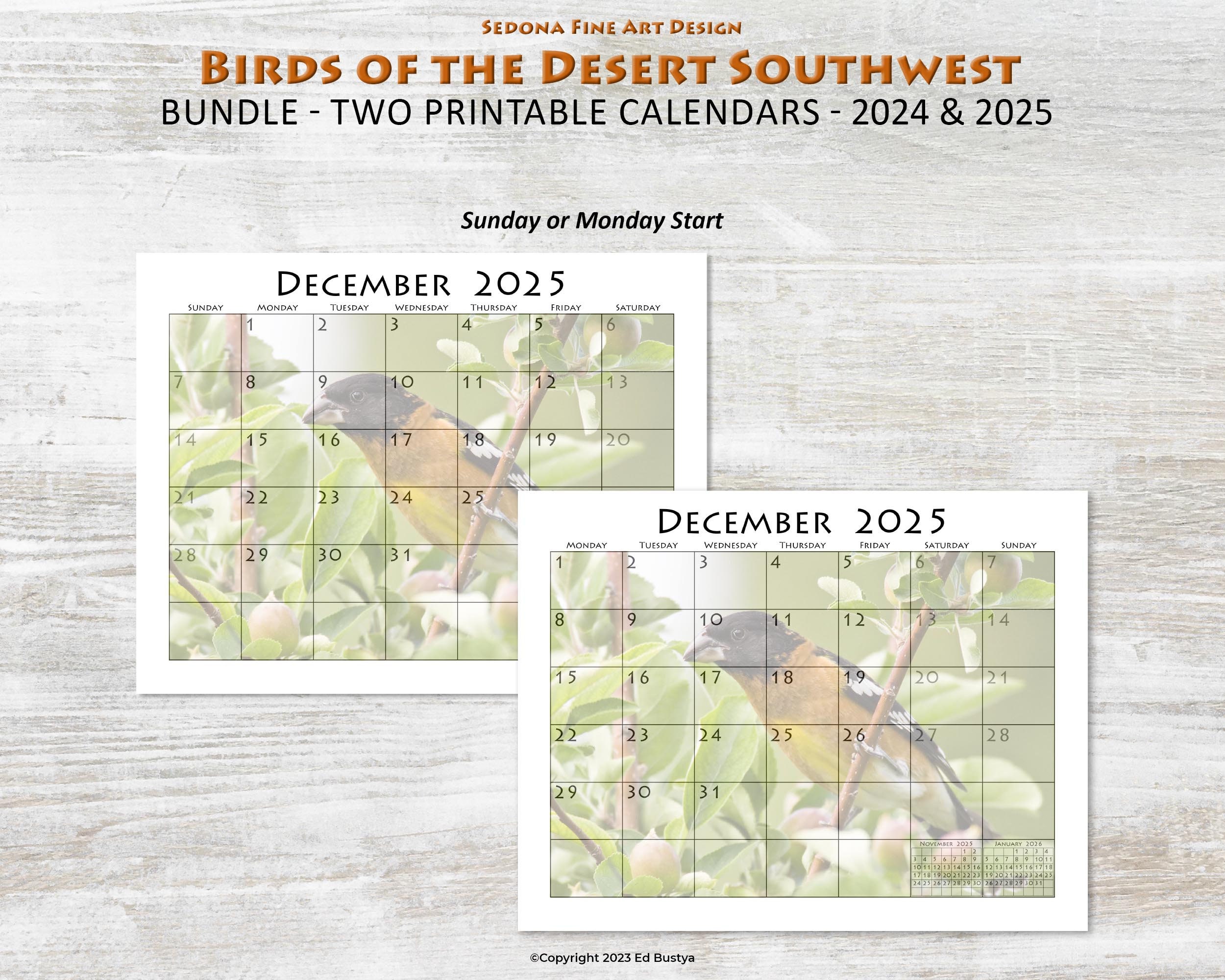 Printable 2024 and 2025 Bird Art Calendar, Bird Lover Gift for Him or ...