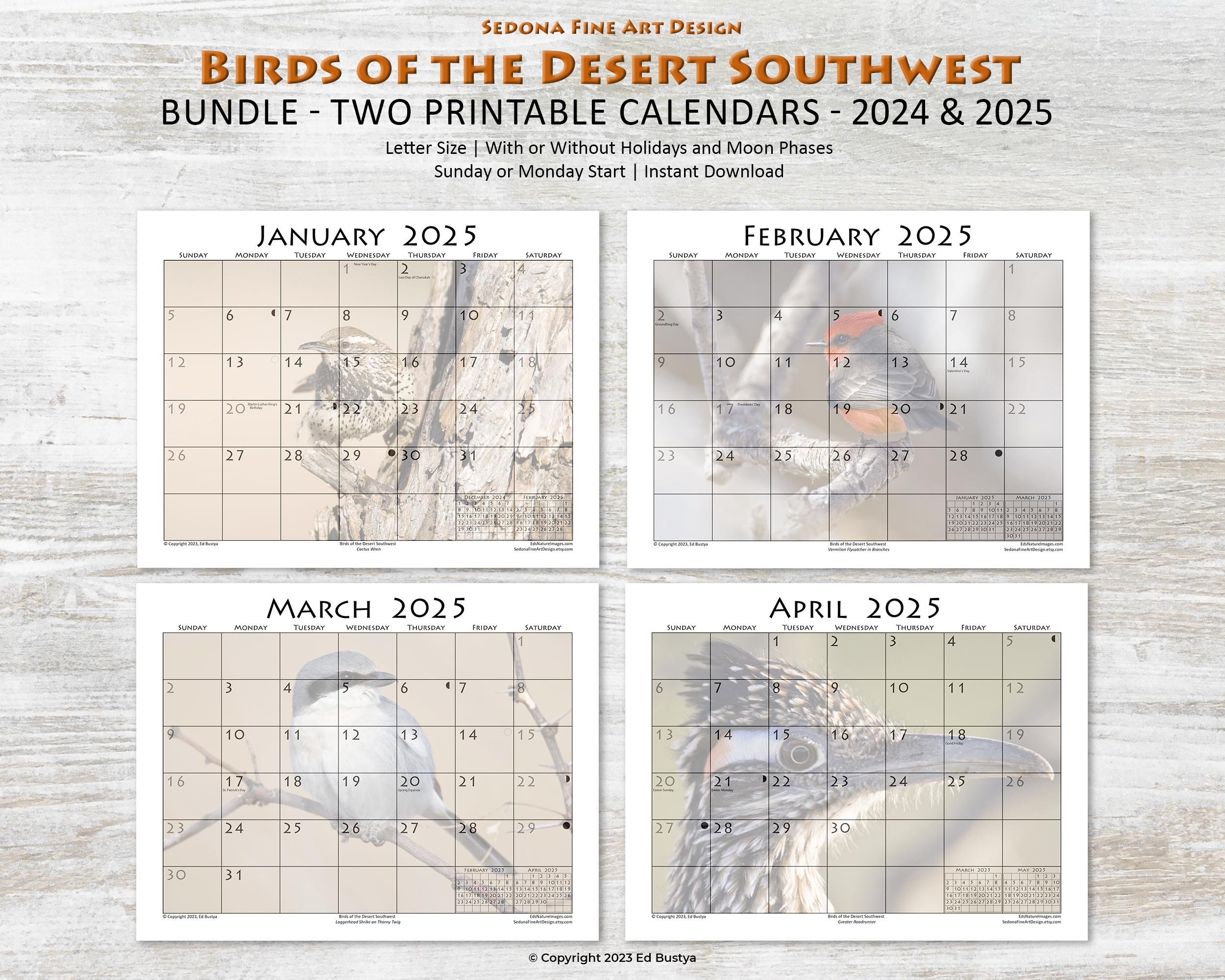Printable 2024 and 2025 Bird Art Calendar, Bird Lover Gift for Him or ...