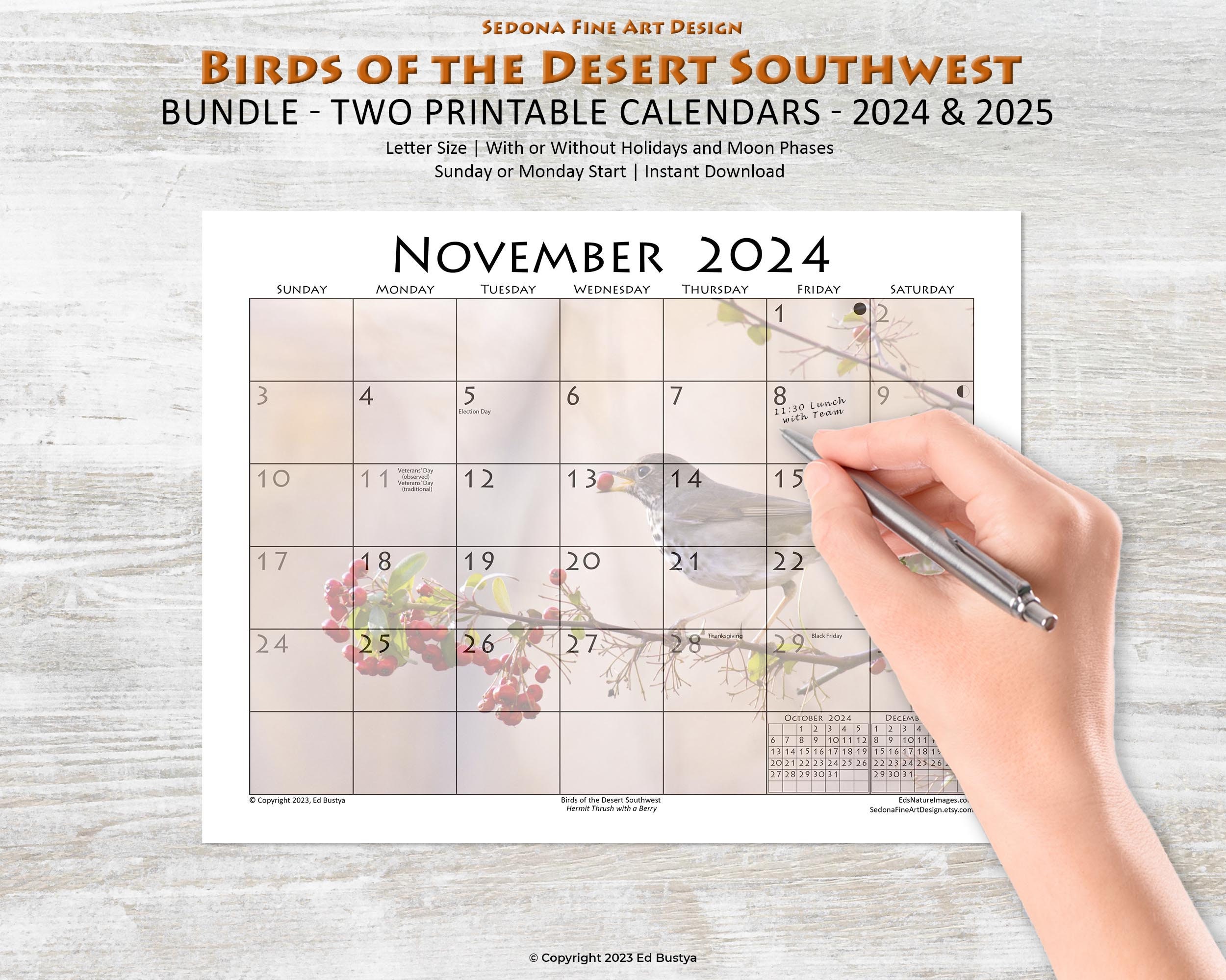 Printable 2024 and 2025 Bird Art Calendar, Bird Lover Gift for Him or ...