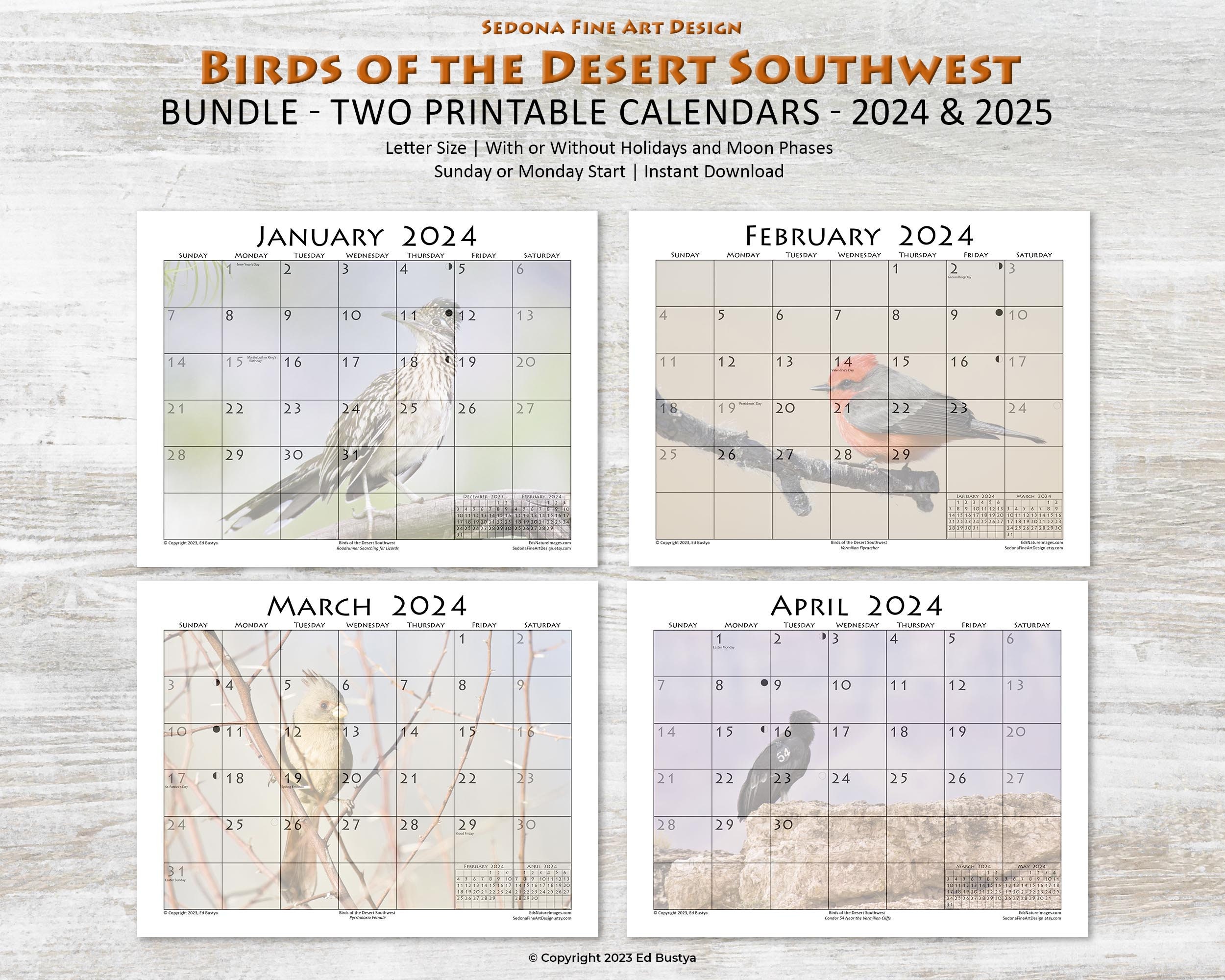 Printable 2024 and 2025 Bird Art Calendar, Bird Lover Gift for Him or ...