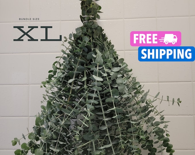 Fresh Eucalyptus Shower Bundle, Eucalyptus Plant, Eucalyptus Shower - Etsy