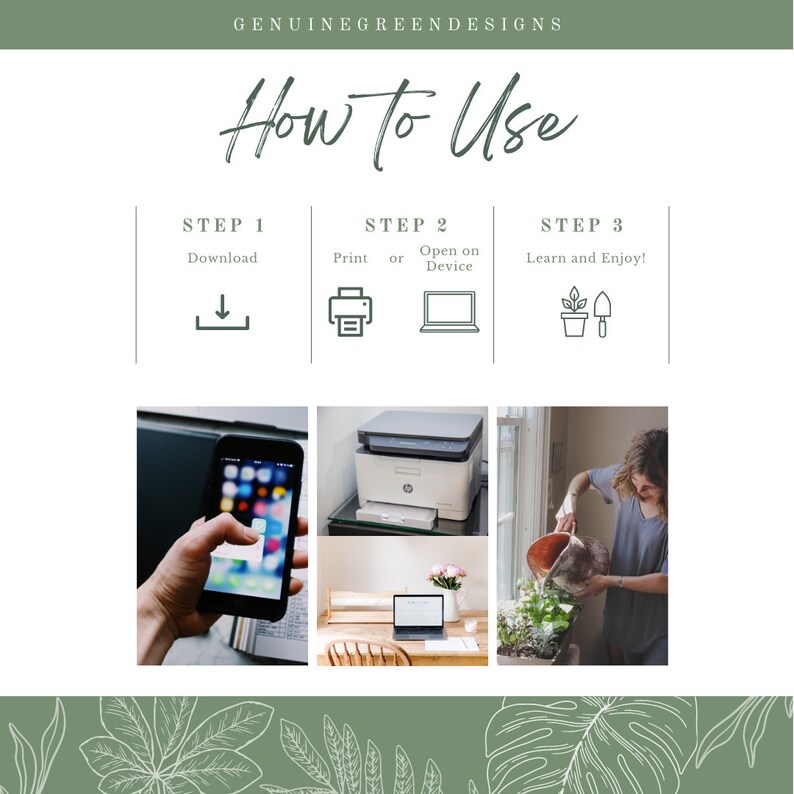 Ultimate Indoor Plant Care Guide | Houseplant Guidebook for Beginners ...