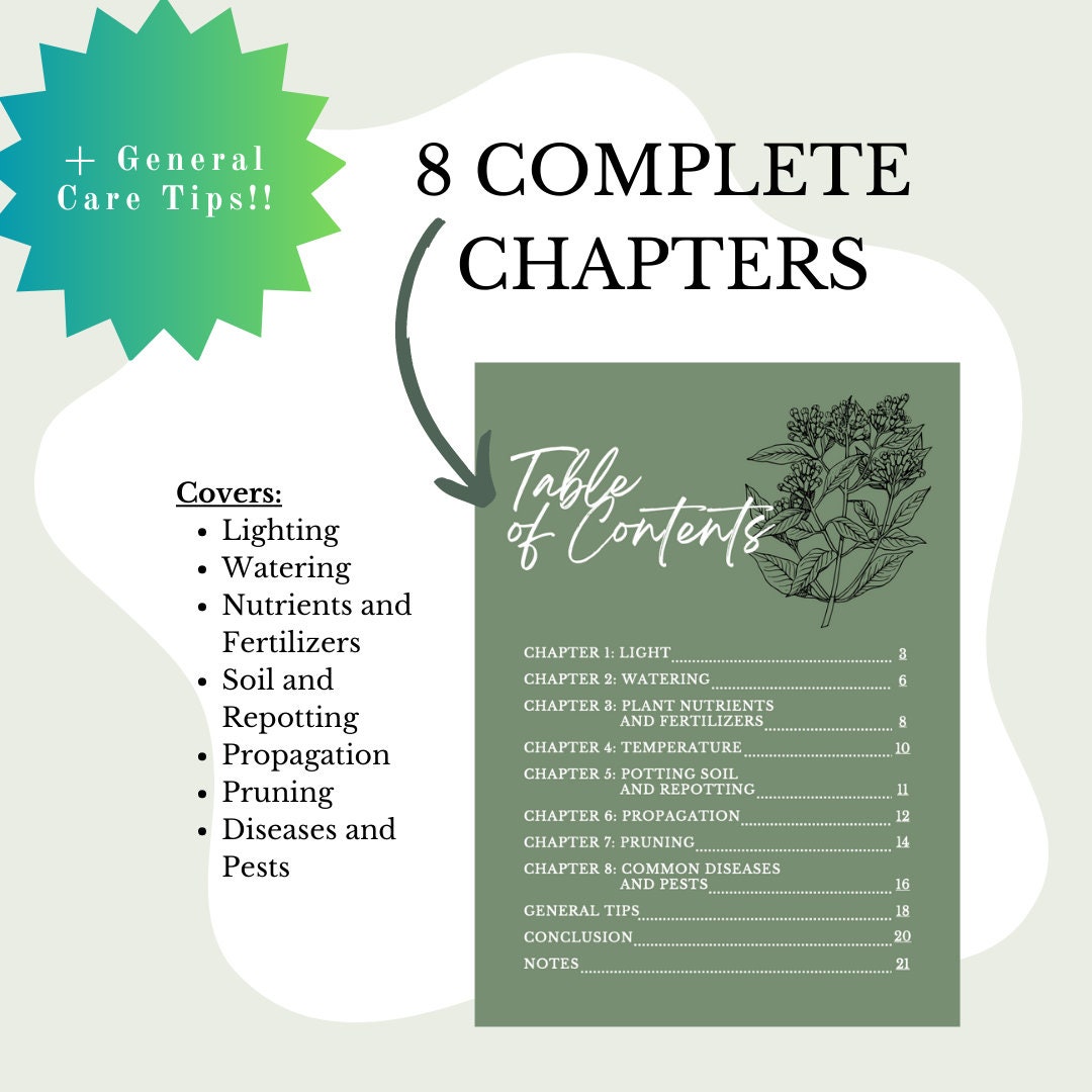 Ultimate Indoor Plant Care Guide | Houseplant Guidebook for Beginners ...