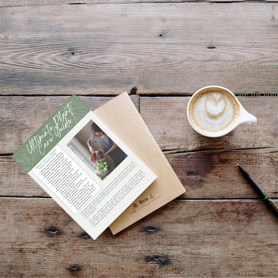 Ultimate Indoor Plant Care Guide | Houseplant Guidebook for Beginners ...