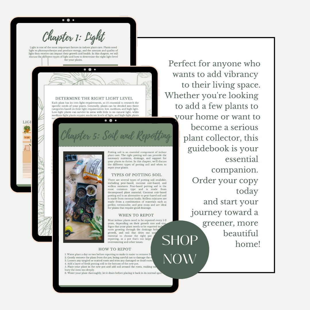 Ultimate Indoor Plant Care Guide | Houseplant Guidebook for Beginners ...