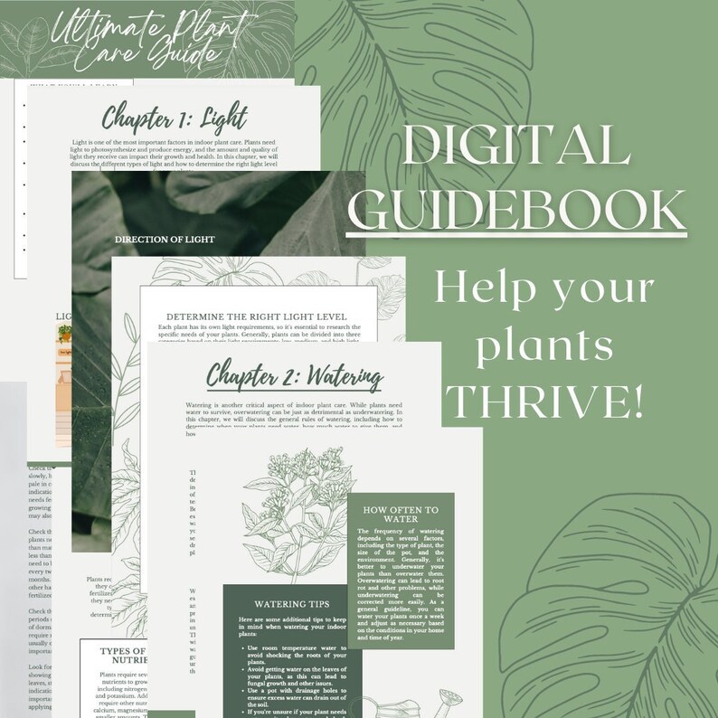 Ultimate Indoor Plant Care Guide | Houseplant Guidebook for Beginners ...