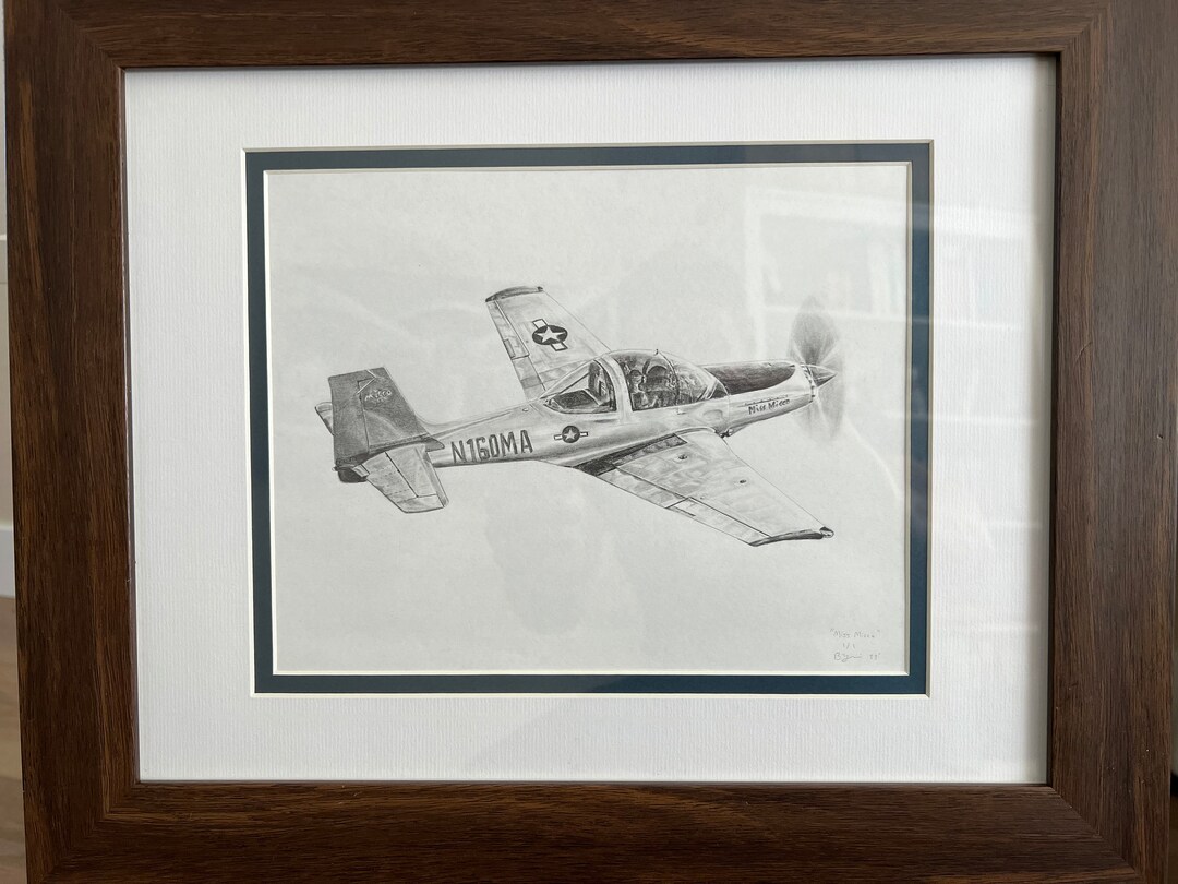 Micco SP-26 Aerobat Print - Etsy
