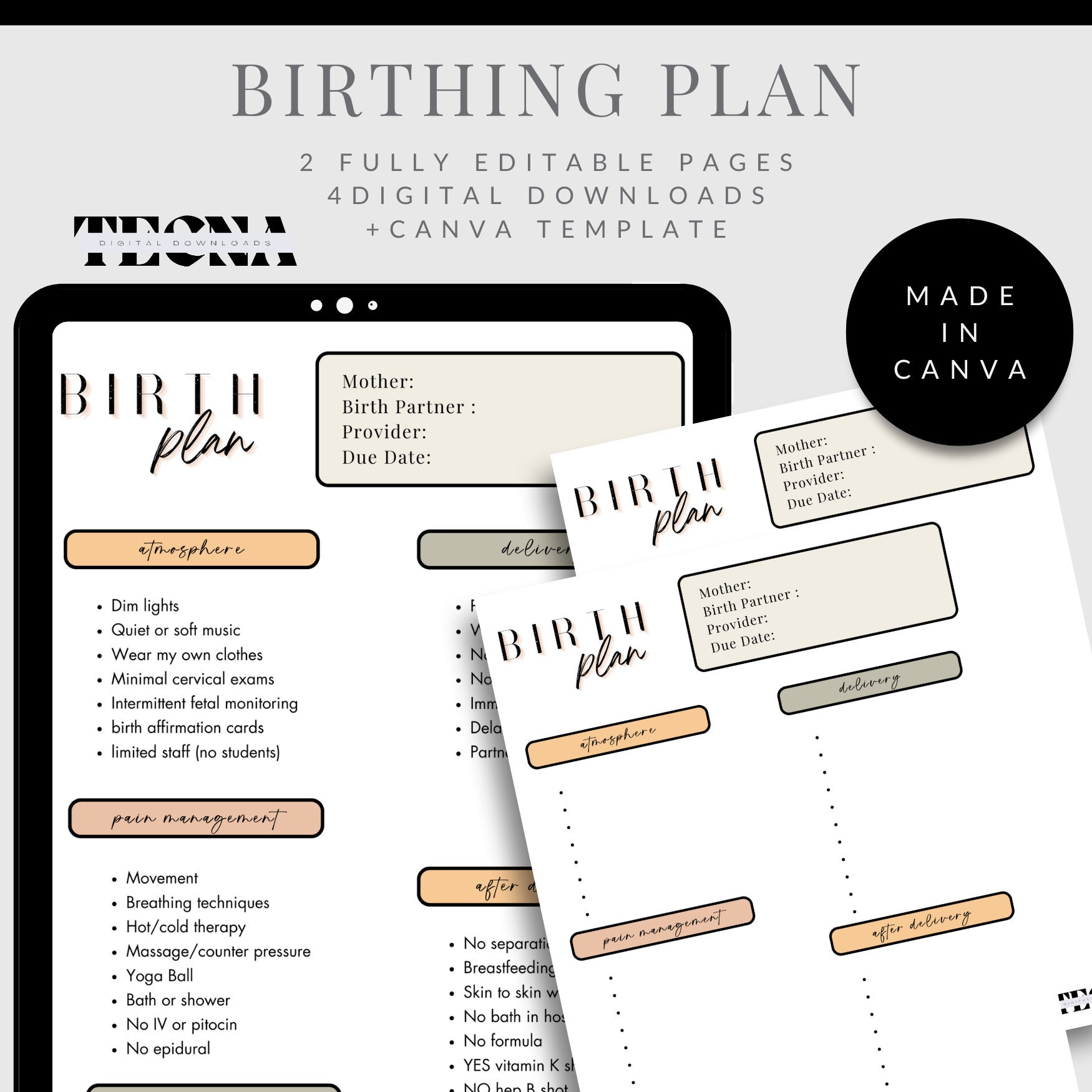 Birth Plan Template Editable in Canva Printable Birthing Plan Neutral ...