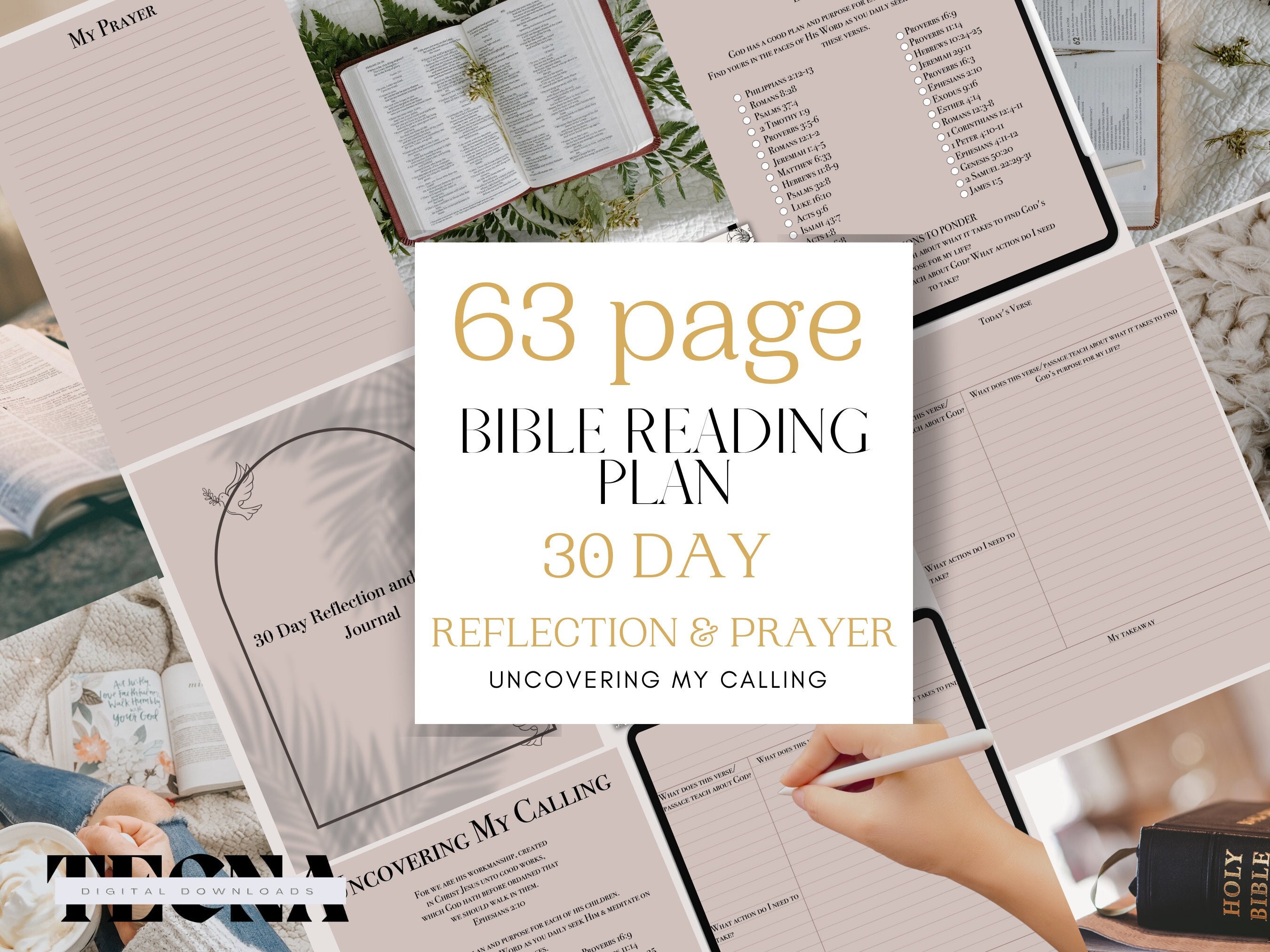 Bible Reading Plan 30 Day Reflection and Prayer Journal Uncovering My ...