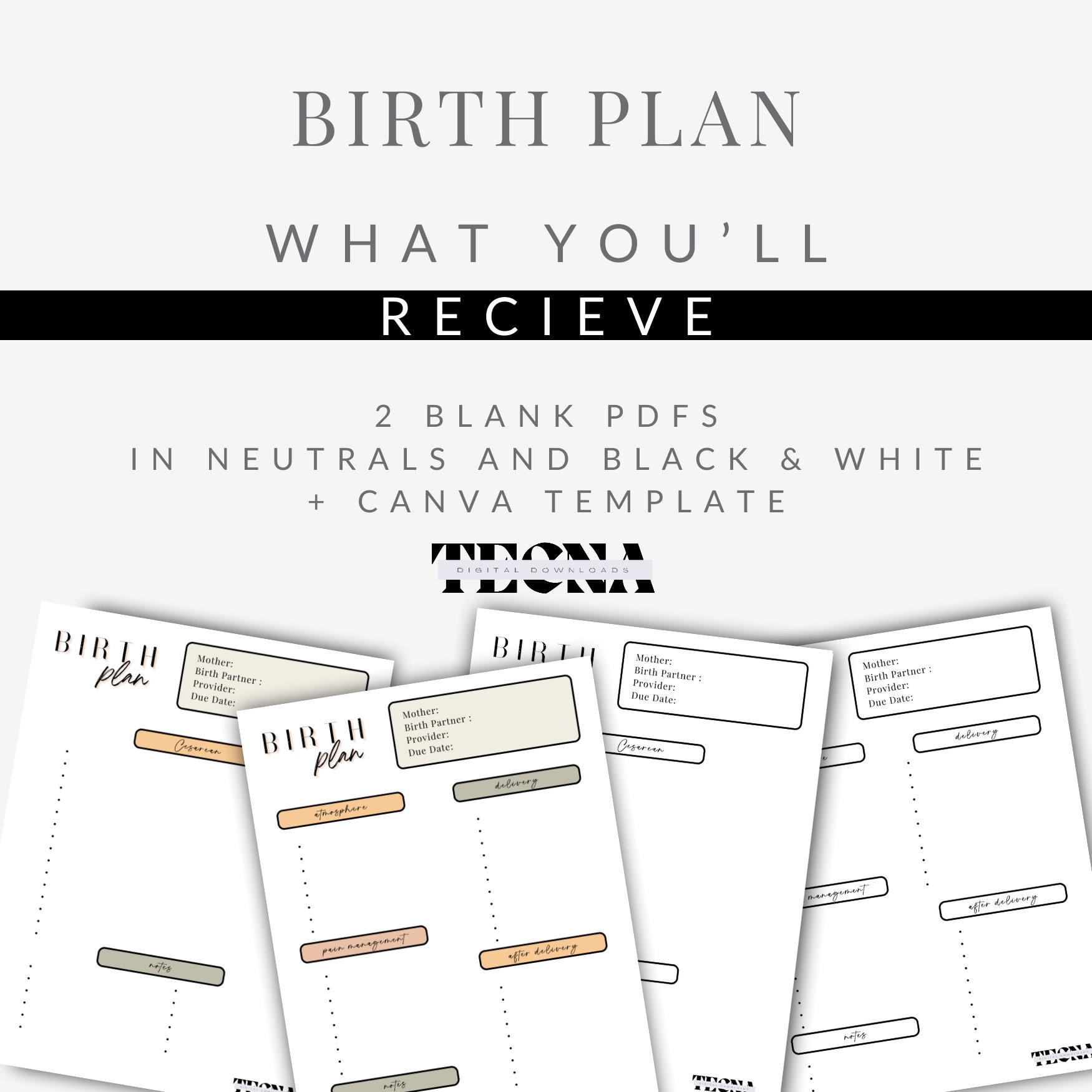Birth Plan Template Editable in Canva Printable Birthing Plan Neutral ...