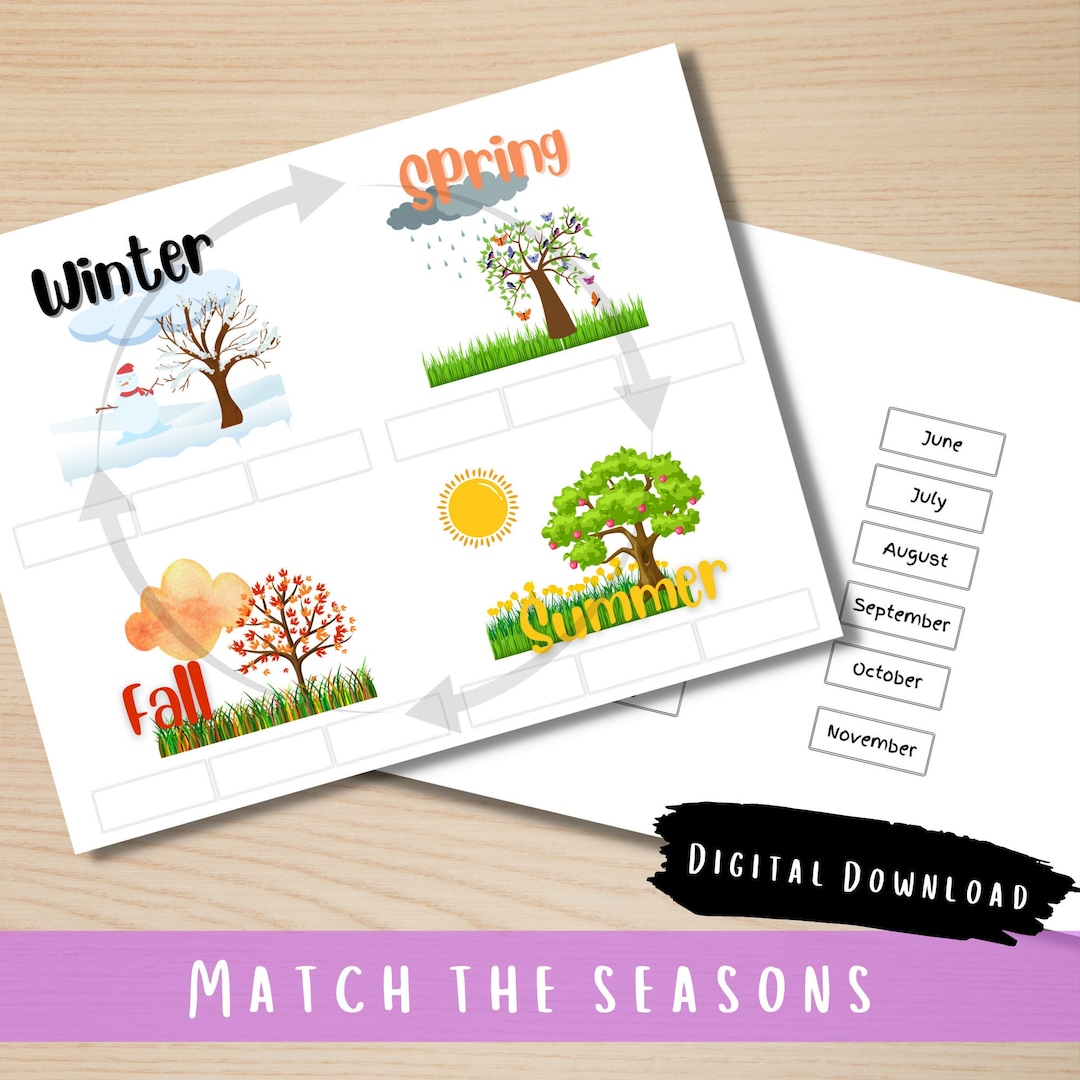 Seasons Worksheet, Season Matching Months, Months Activity - Etsy