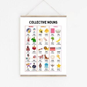 Collective Noun Poster, Educational Wall Art, Back to School ...