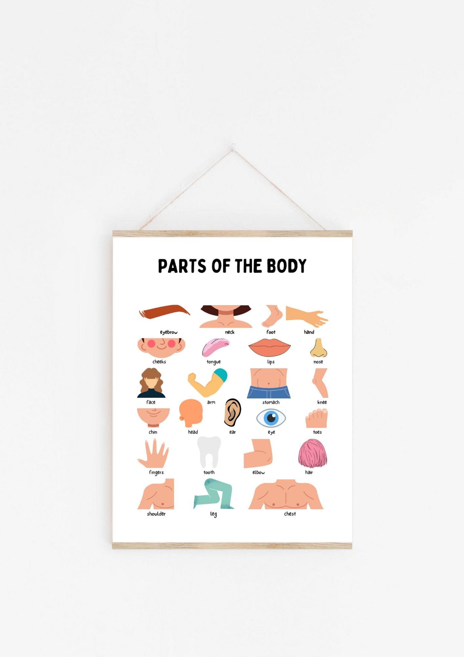 Body Parts Educational Poster, Homeschool Classroom Decor (digital ...