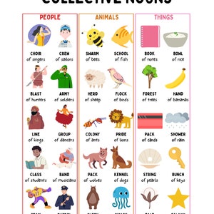 Collective Noun Poster, Educational Wall Art, Back to School ...