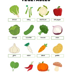 Vegetable Poster, Educational Wall Art, Back to School, Homeschool ...