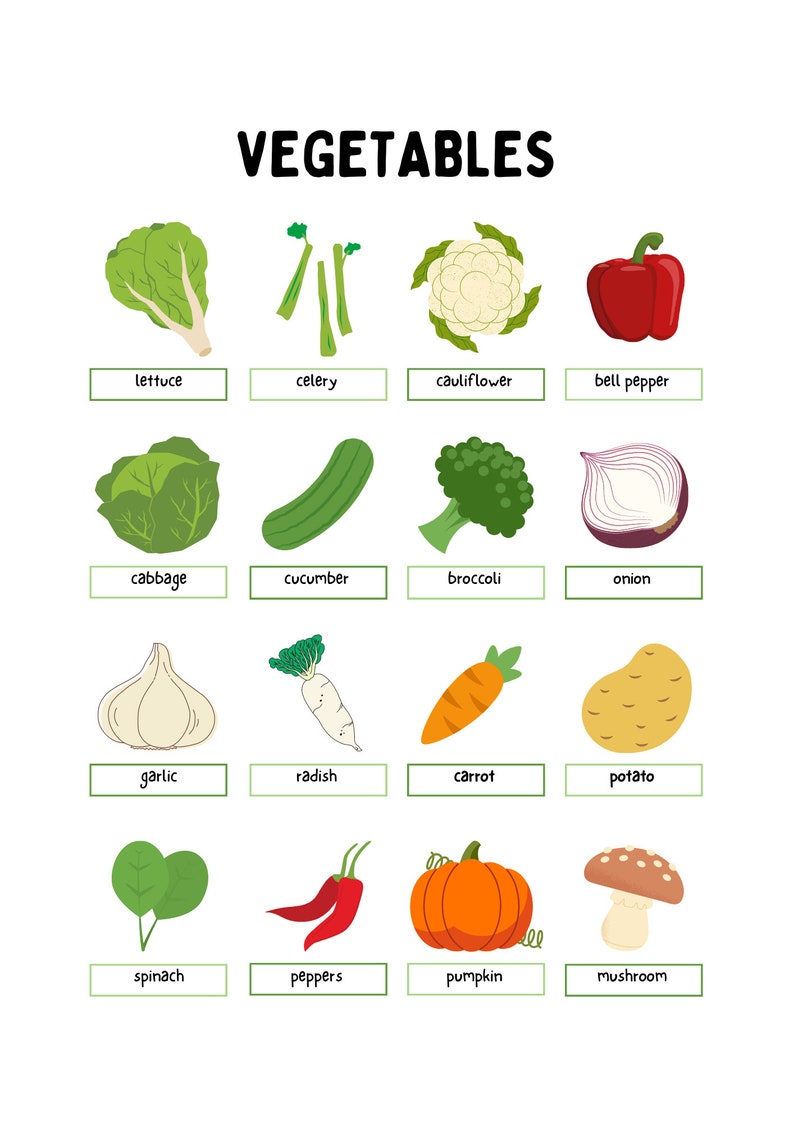 Vegetable Poster, Educational Wall Art, Back to School, Homeschool ...