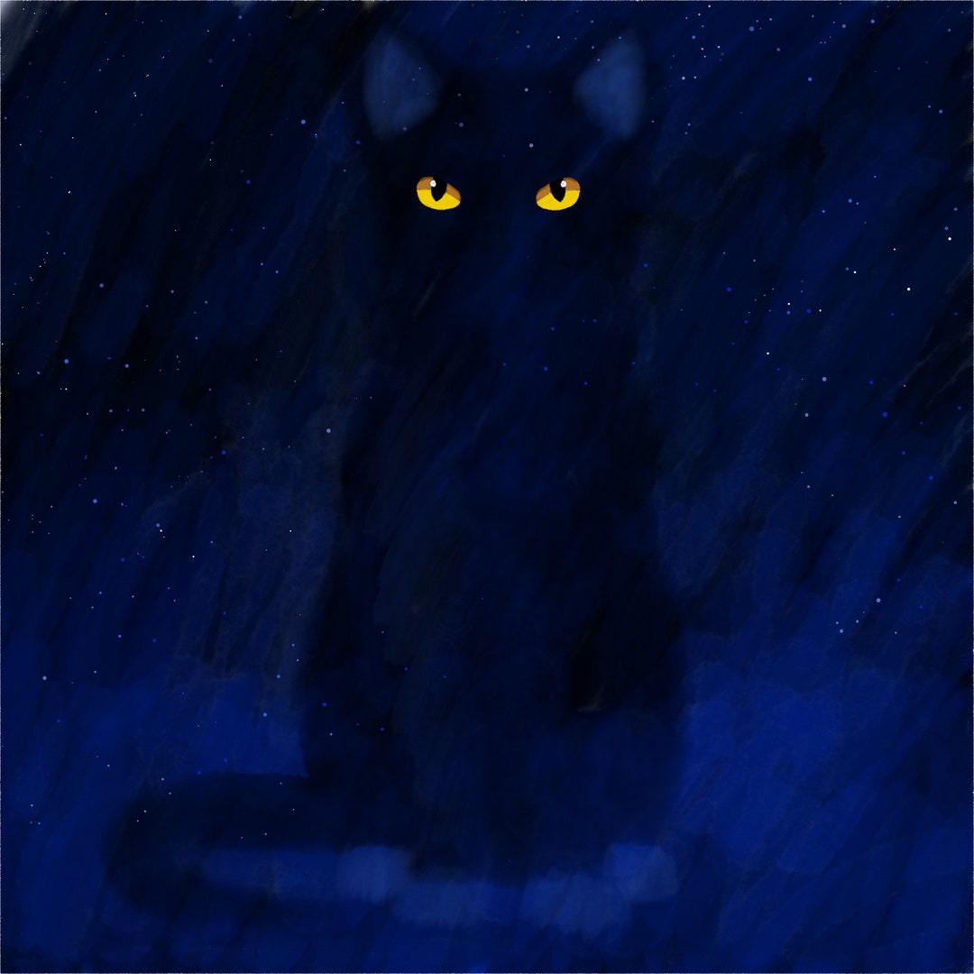 Starry Night Sky Cat Watching Over - Etsy