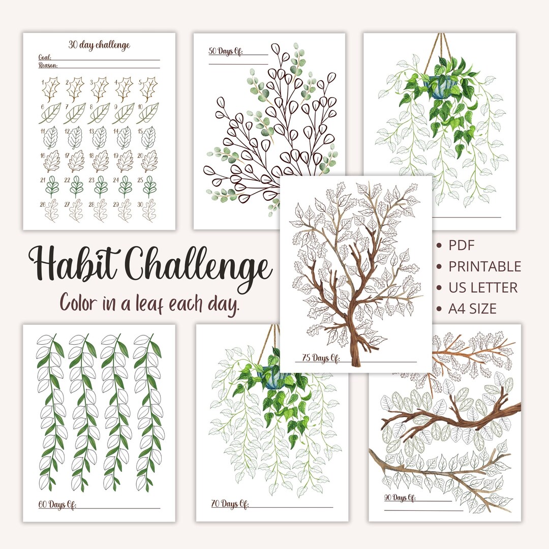 30 Day Challenge Printable Habit Tracker, 75 Day Challenge Tracker PDF ...