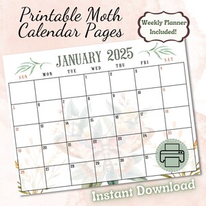 Moth Printable Calendar 2025, PDF Wall Calendar, 2025 Calendar ...