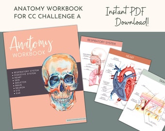 Anatomy Workbook for CC Challenge A Research Strand Science - Etsy