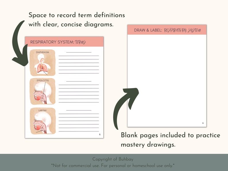Anatomy Workbook for CC Challenge A Research Strand Science - Etsy