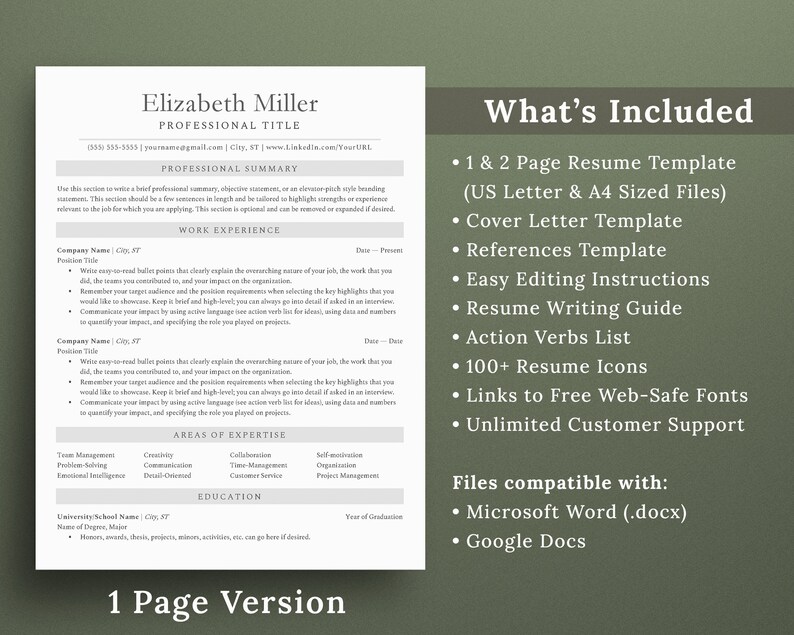 Modern Professional Ats-friendly Resume Template for Google Docs and ...