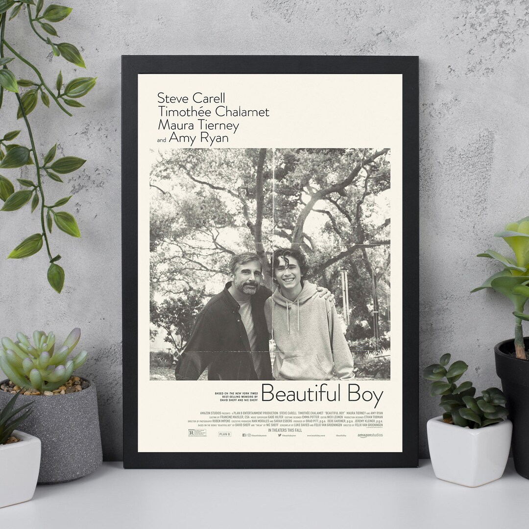 Beautiful Boy Poster Movie Poster, Room Decor, Home Decor, Art Poster ...
