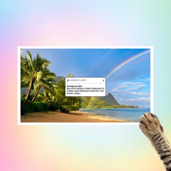 Funny Hawaiian Stickers - Etsy