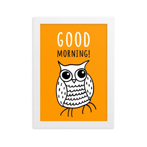 Morning Of Owl