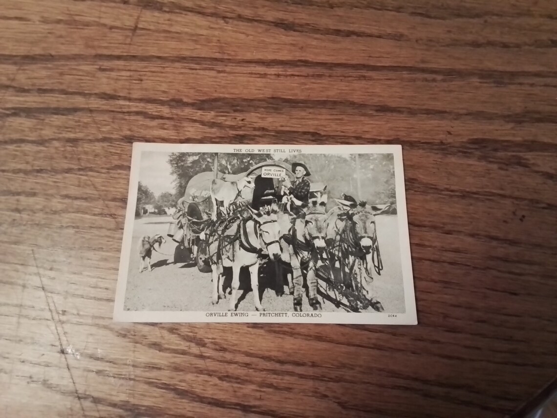 Orville Ewing of Pritchett, Colorado Postcard. the Old West Still Lives ...