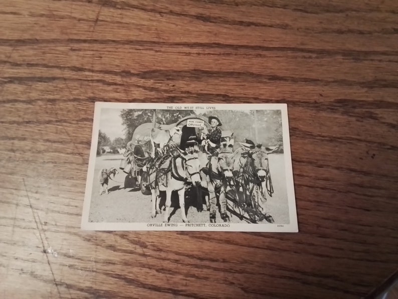 Orville Ewing of Pritchett, Colorado Postcard. the Old West Still Lives ...