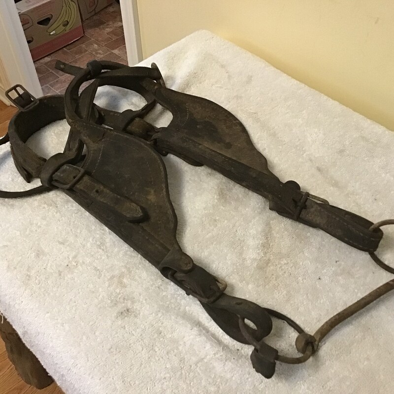 Antique Horse Bridle - Etsy
