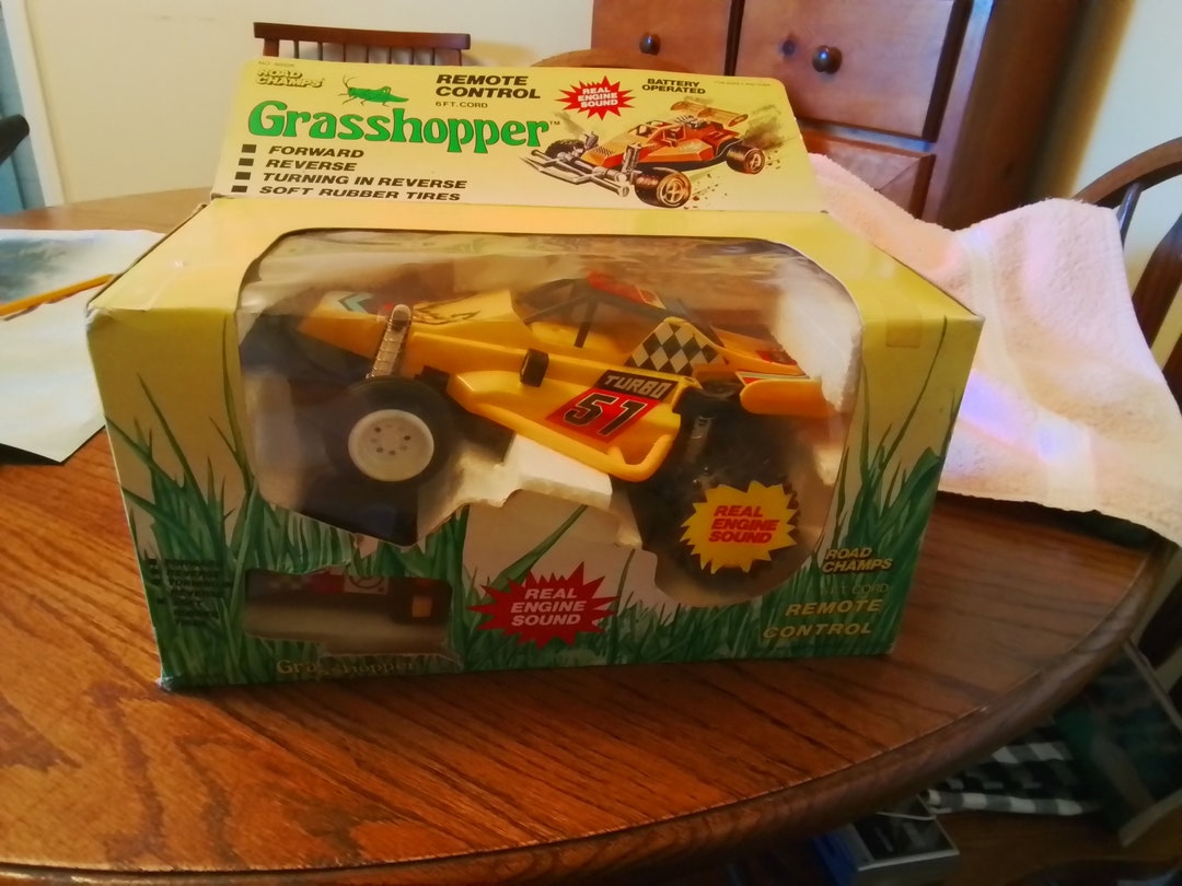 Remote Control Car (grasshopper) by Road Champs - Etsy