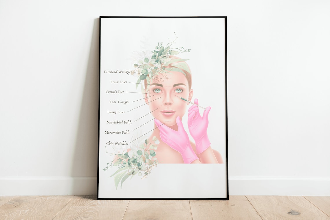 Anatomy of Facial Aging Poster for Beauty Salon and Medical Spa ...