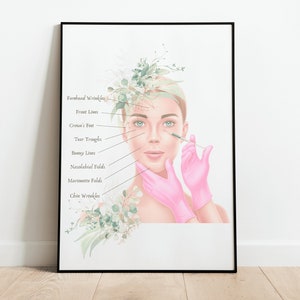 Anatomy of Facial Aging Poster for Beauty Salon and Medical Spa ...