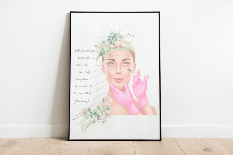 Anatomy of Facial Aging Poster for Beauty Salon and Medical - Etsy
