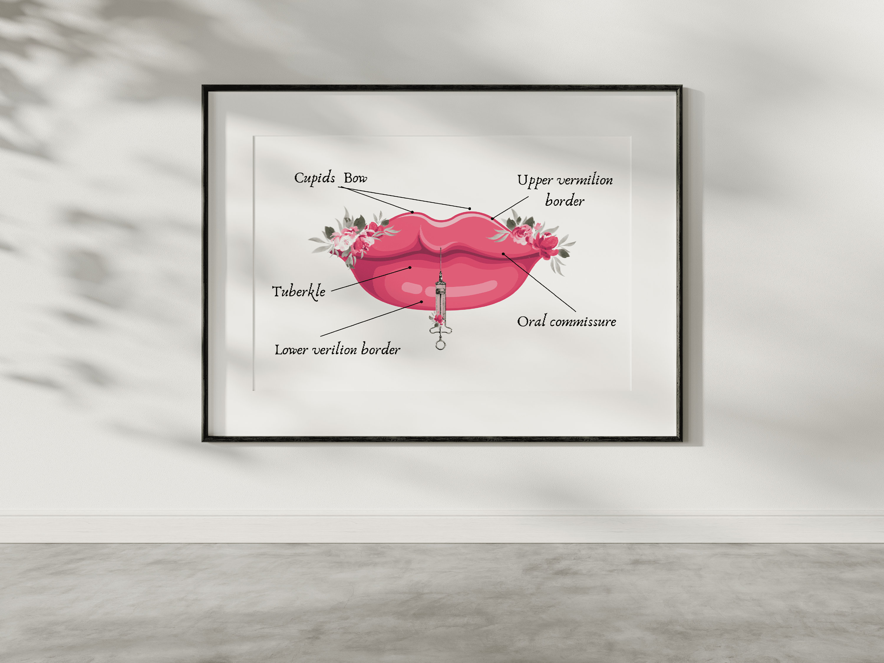 Lip Anatomy Poster for Beauty Salon and Medical Spa. Esthetician Decor ...