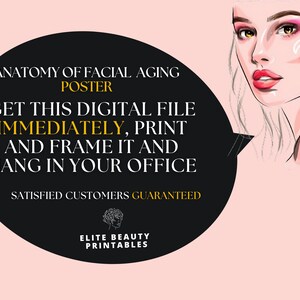 Anatomy of Facial Aging Poster for Beauty Salon and Medical Spa ...